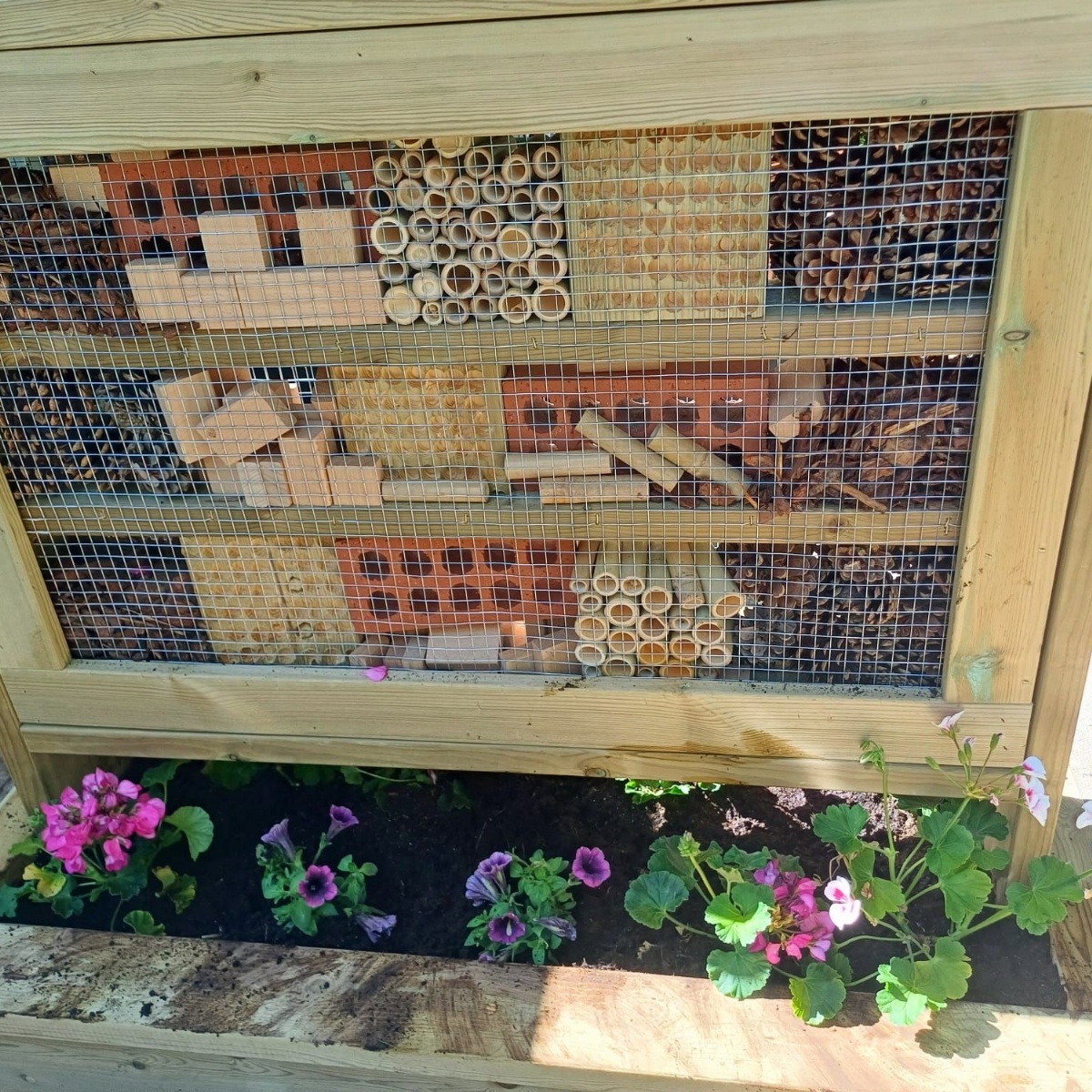 Campion School - Eco-Club Build Bug Hotel for Station